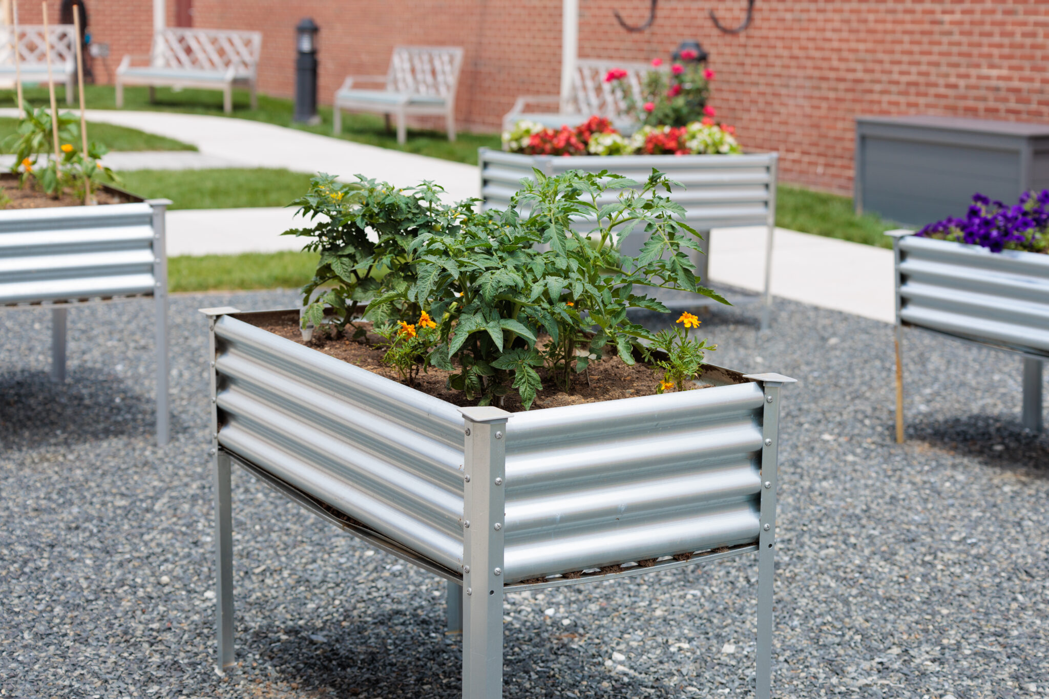 Photo Gallery | Arbour Square of Harleysville